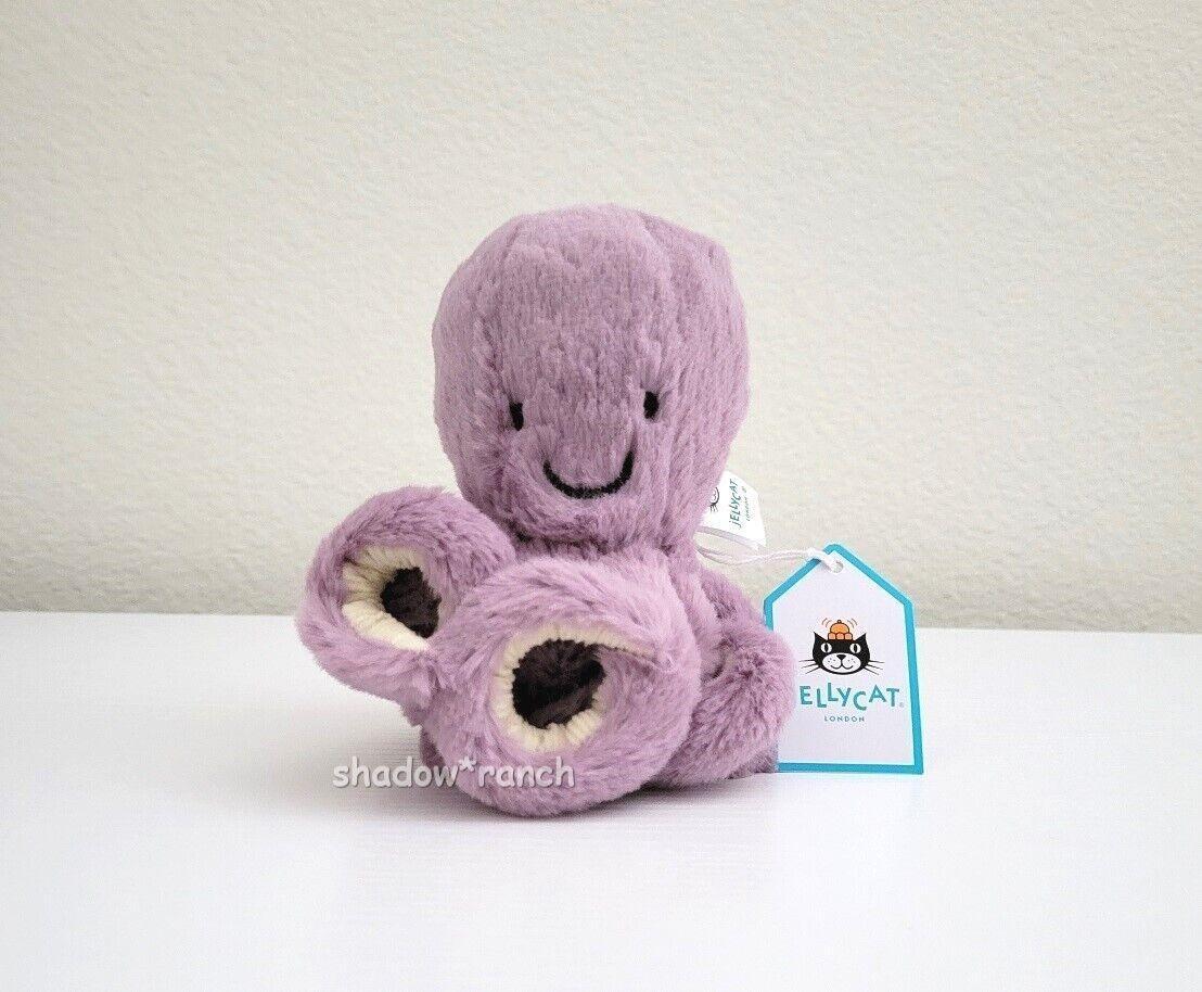 Maya Octopus | FERN IN THE WILD